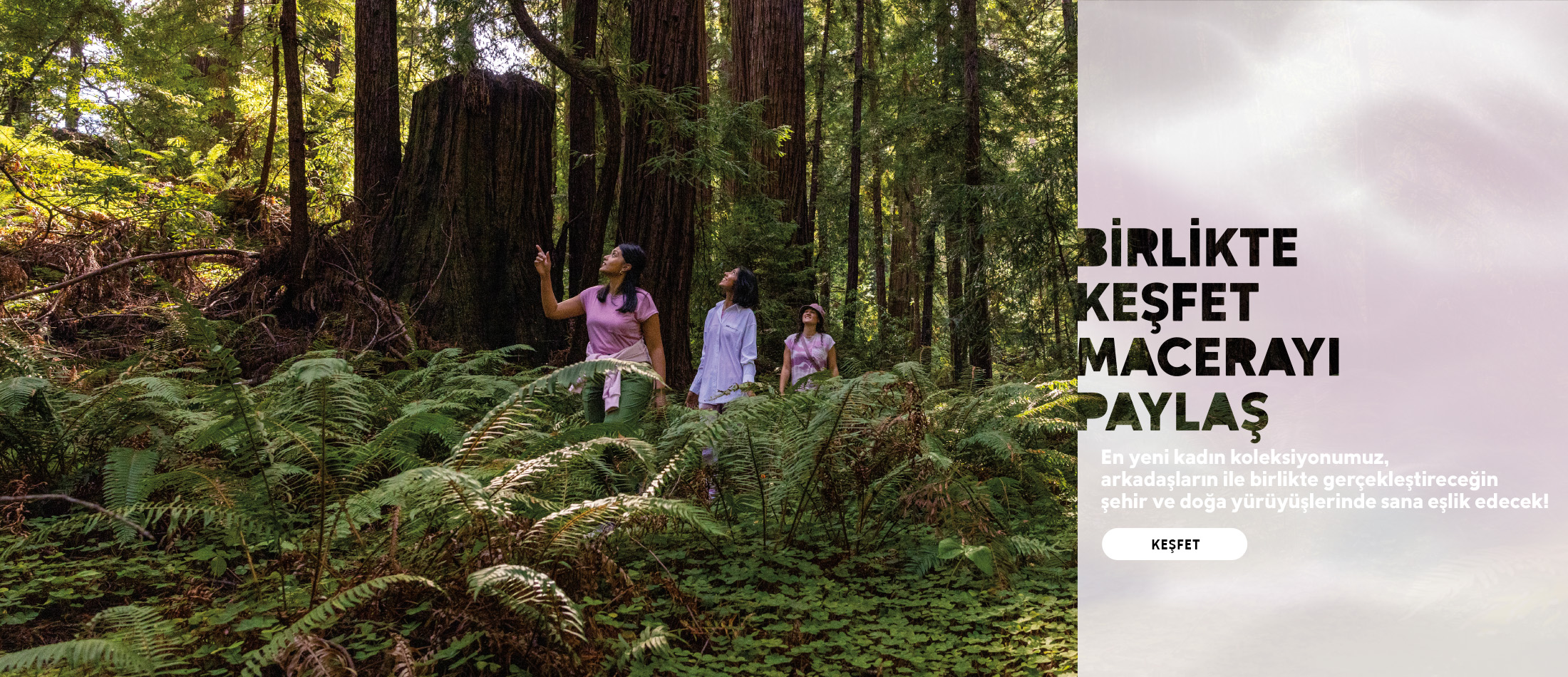 Boundless Explorer | Columbia